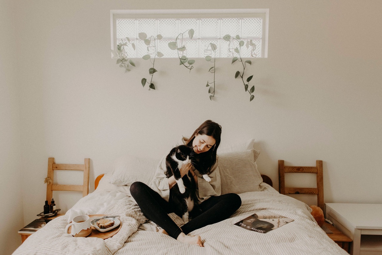 About | Life Curator